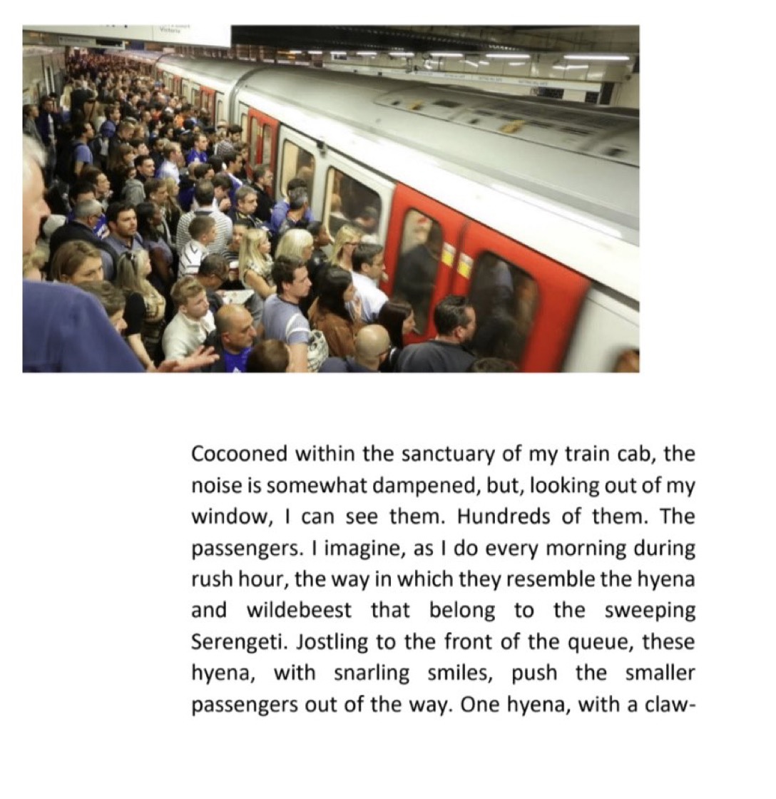 Creative Writing and the Craft of Crossing Out – codexterous